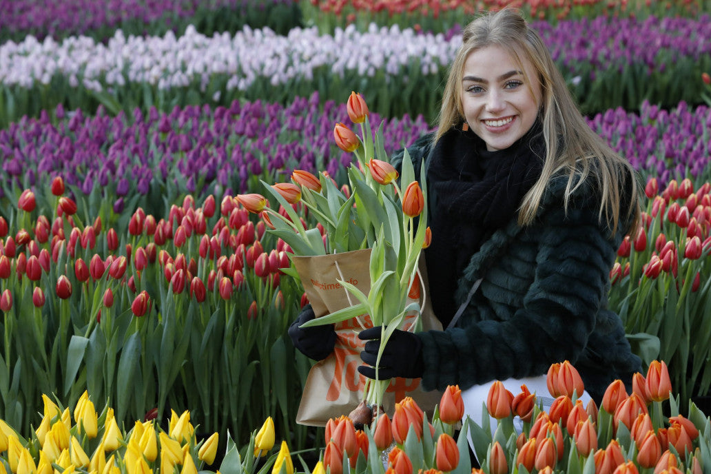 Journée nationale de la tulipe 2026 – Alkemade bloembollen